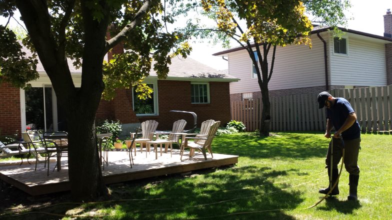 Fertilizer - Logan Tree Experts